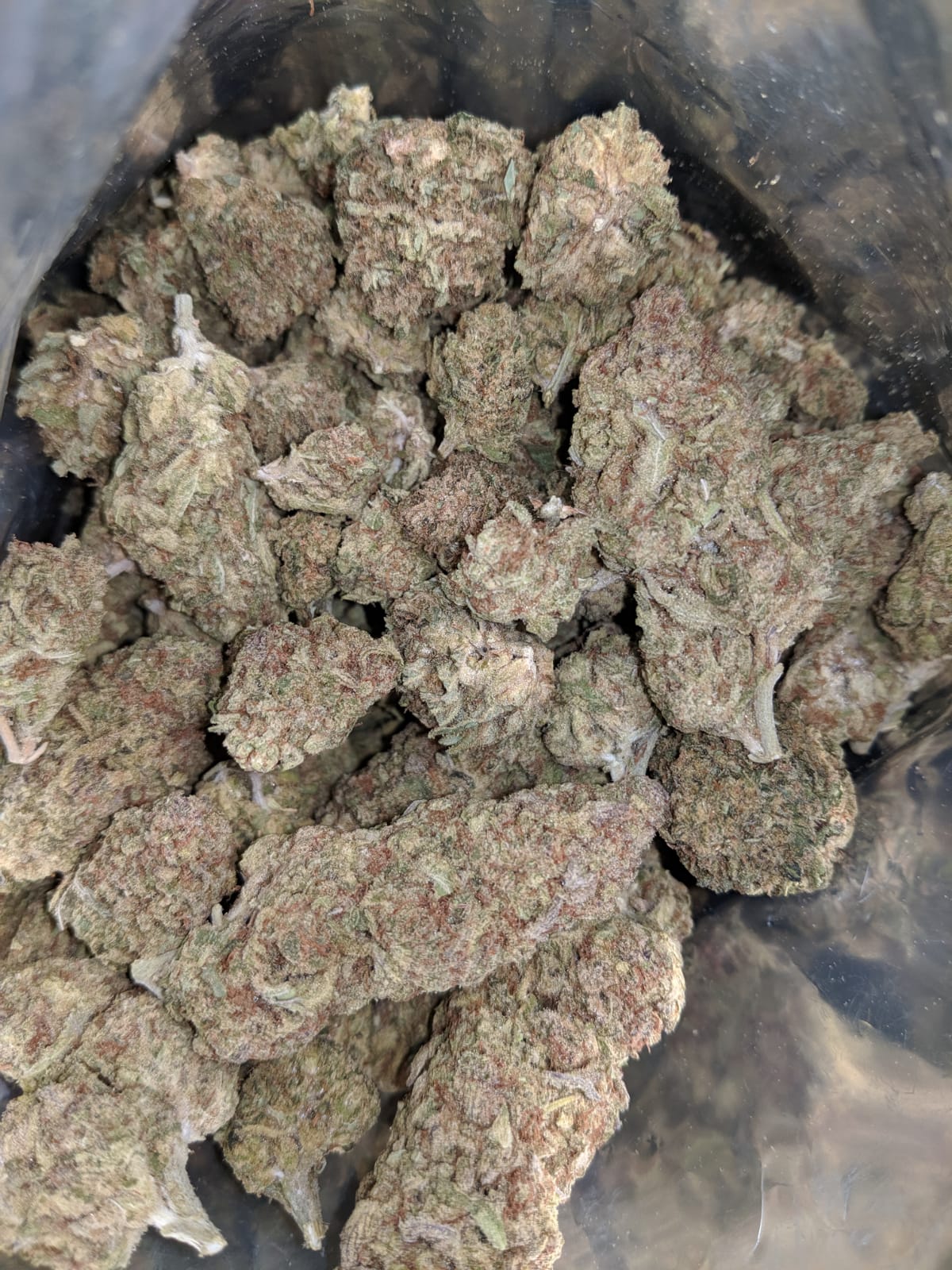 Ghost OG - Cannabis Menu by DrCringle - Cannabis in Denver , CO ...