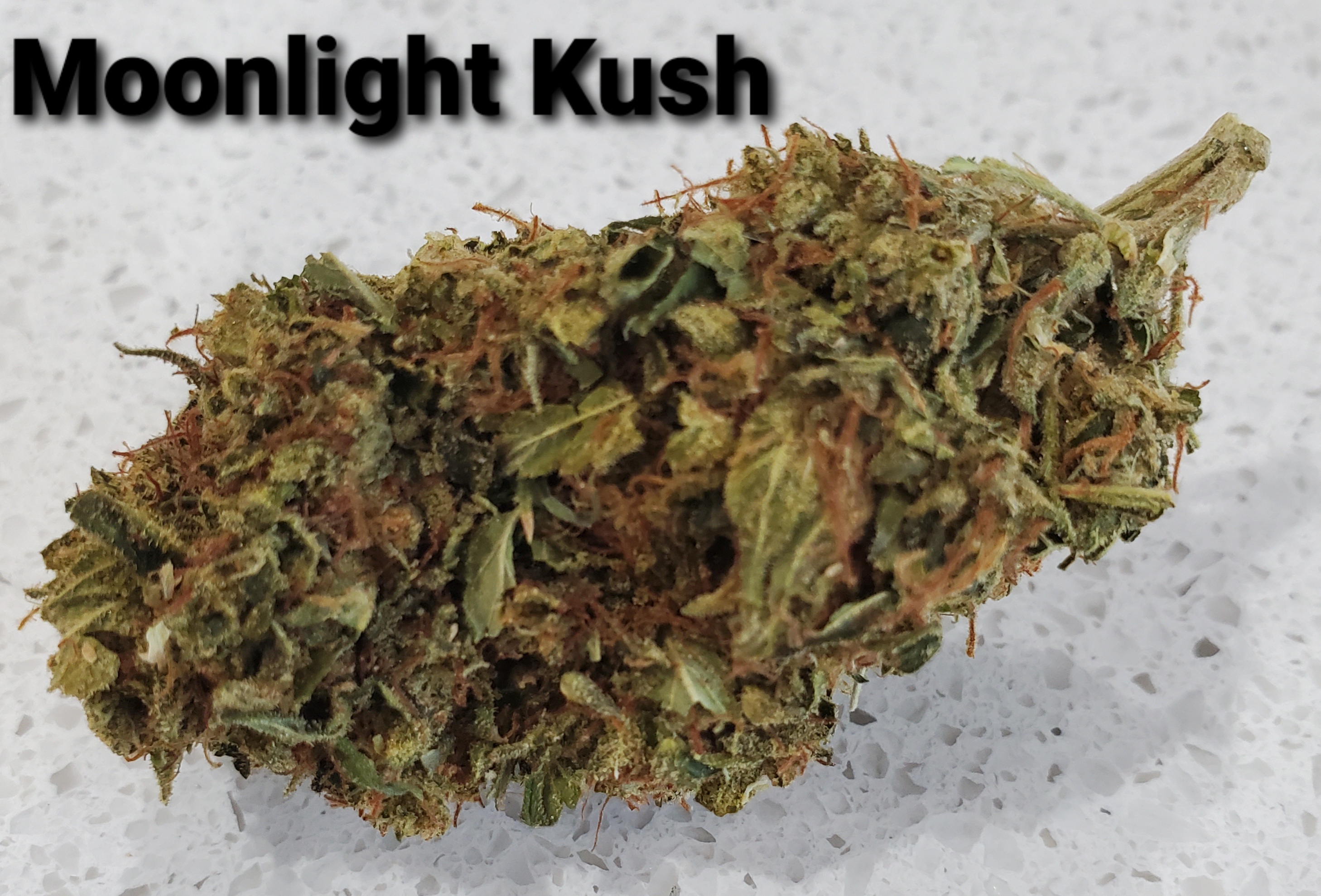 Moonlight OG Kush-Limited Supply - Cannabis Menu by Safeandeasy ...
