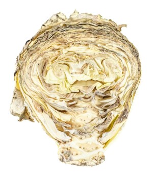 CabbageBasher - Marijuana Consumer in Mount Eliza, Victoria | LeafedOut.com